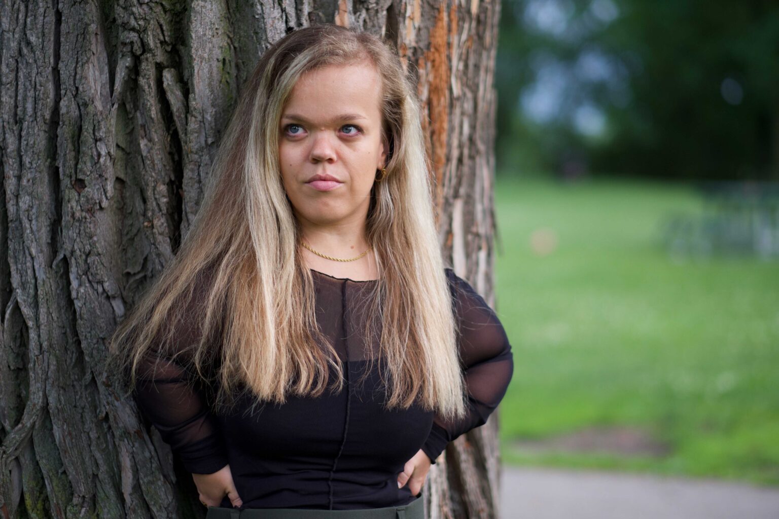 Past Productions | Shakespeare in the Ruff